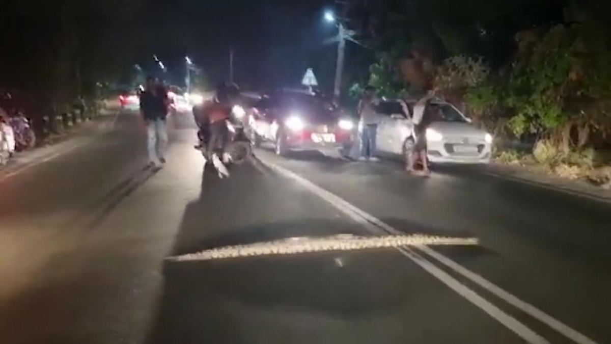 Python legt Verkehr lahm:: Hier stehen die Autos Schlange