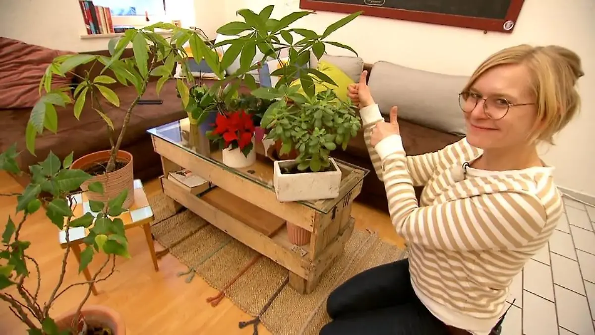 Tennis-Legende Fred Stolle aus Australien stirbt mit 86 Jahren