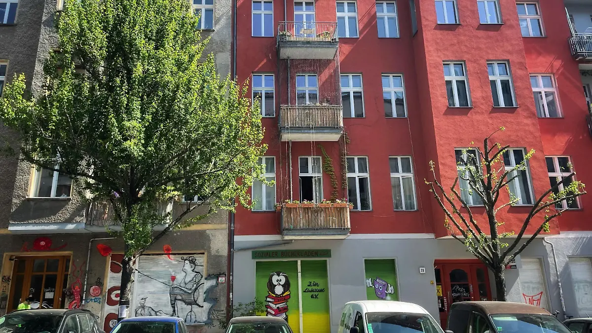 Berlin: Darum droht 70 gesunden Birnenbäumen die Abholzung