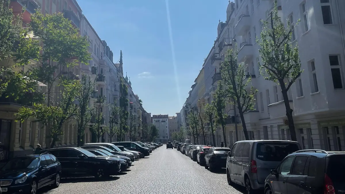 Berlin: Darum droht 70 gesunden Birnenbäumen die Abholzung