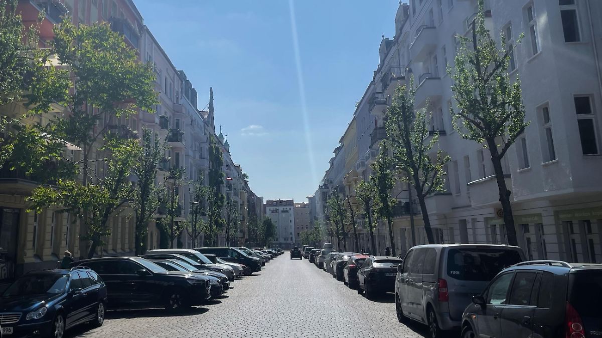 Berlin: Darum droht 70 gesunden Birnenbäumen die Abholzung
