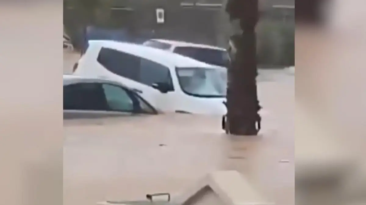 Todesfahrer von Mannheim! Alexander S. schoss auf seine Verfolger, dann richtete er die Waffe ...