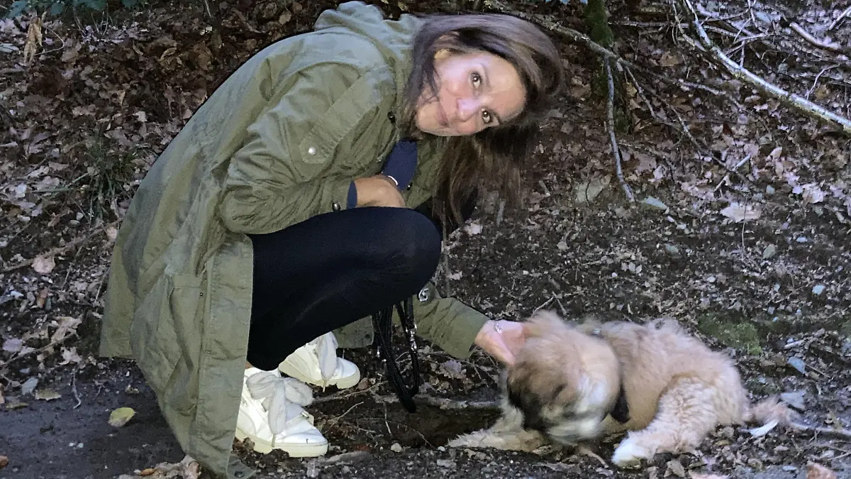 Ein Welpe zieht ein! - RTL Hessen-Moderatorin Tina Mattick hat ...