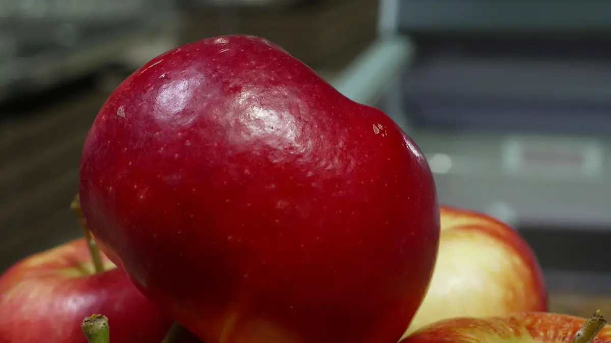 Neue Sorte ohne Allergie-Protein: Allergiker, aufgepasst! Dieser Apfel ...