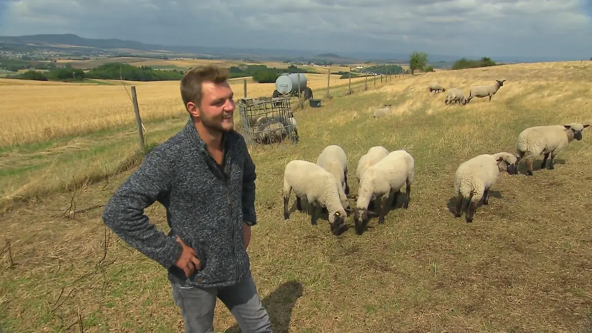 Mögen sie sich?: Valentina lernt Michis Schafe kennen