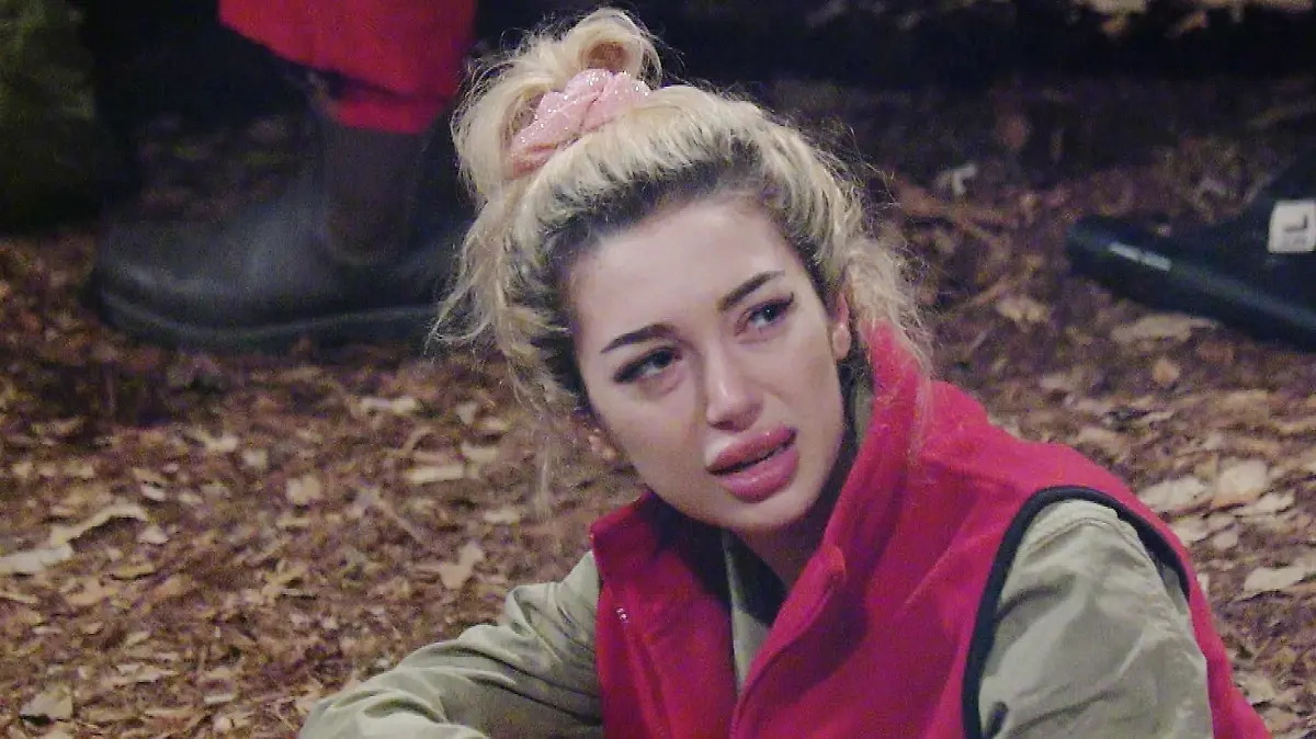 Dschungelcamp-Ticker: Ariel glaubt, die Erde sei flach – Bruder und ...