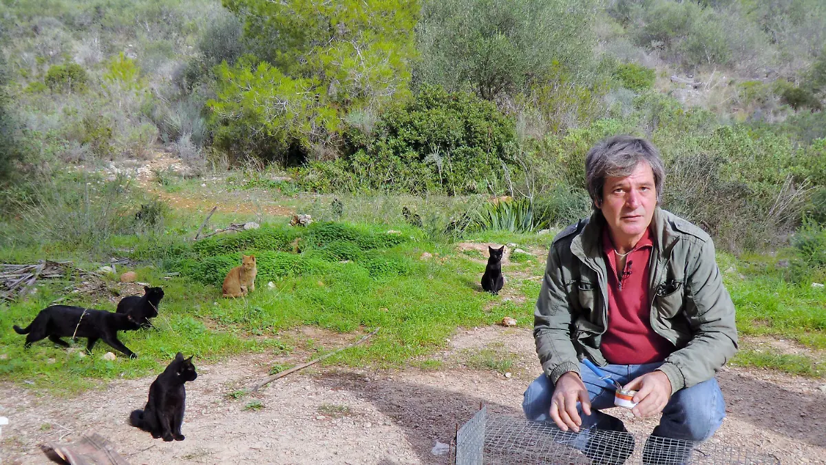 Tierschutz auf Mallorca (4)
