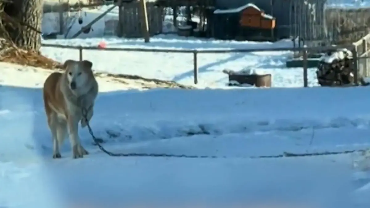 Baba Wanga: Vorhersagen für 2025 – Was uns laut Hellseherin im nächsten ...