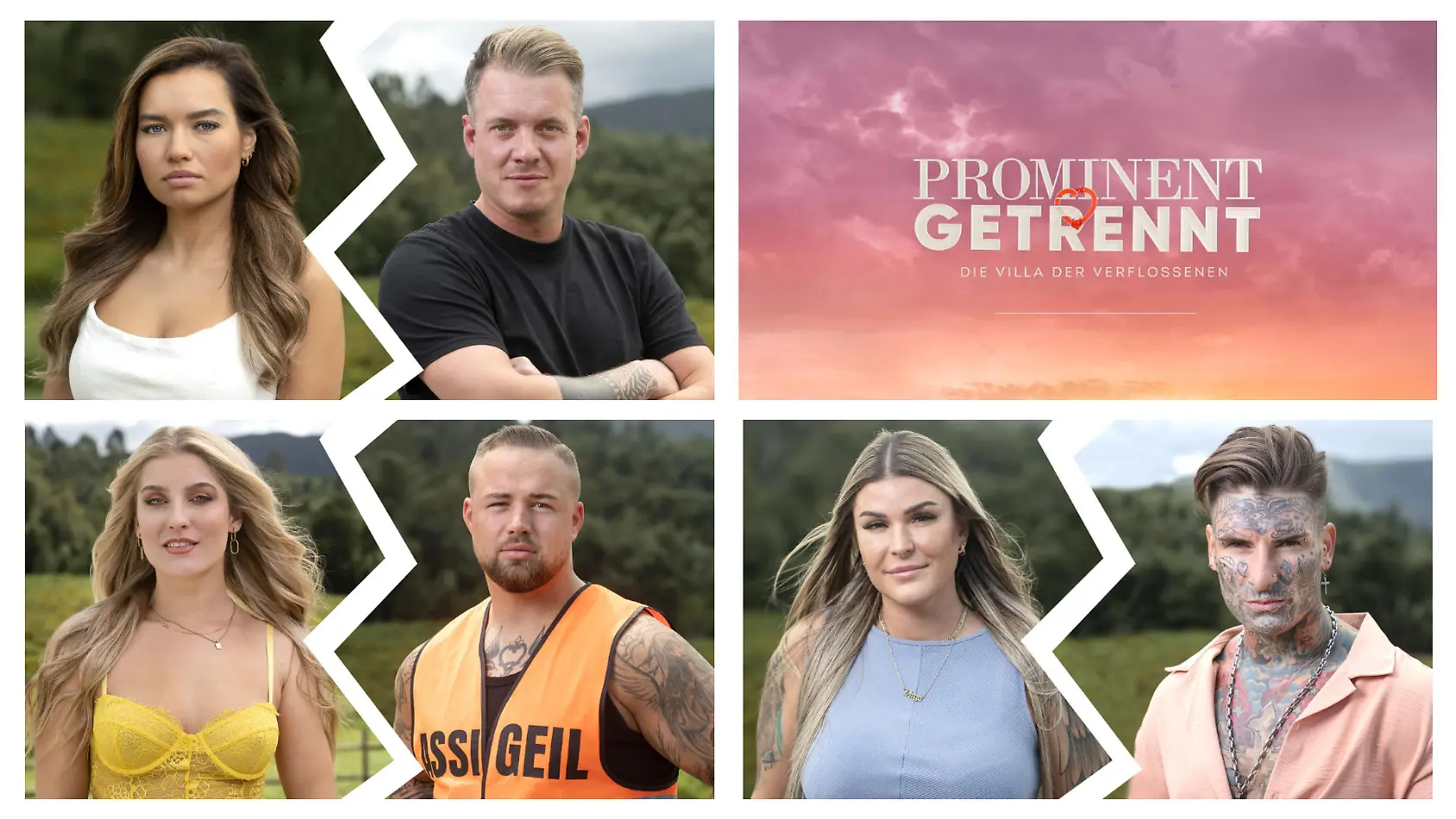 SPOILER: Diese Ex-Paare kämpfen in der letzten Folge um das Preisgeld