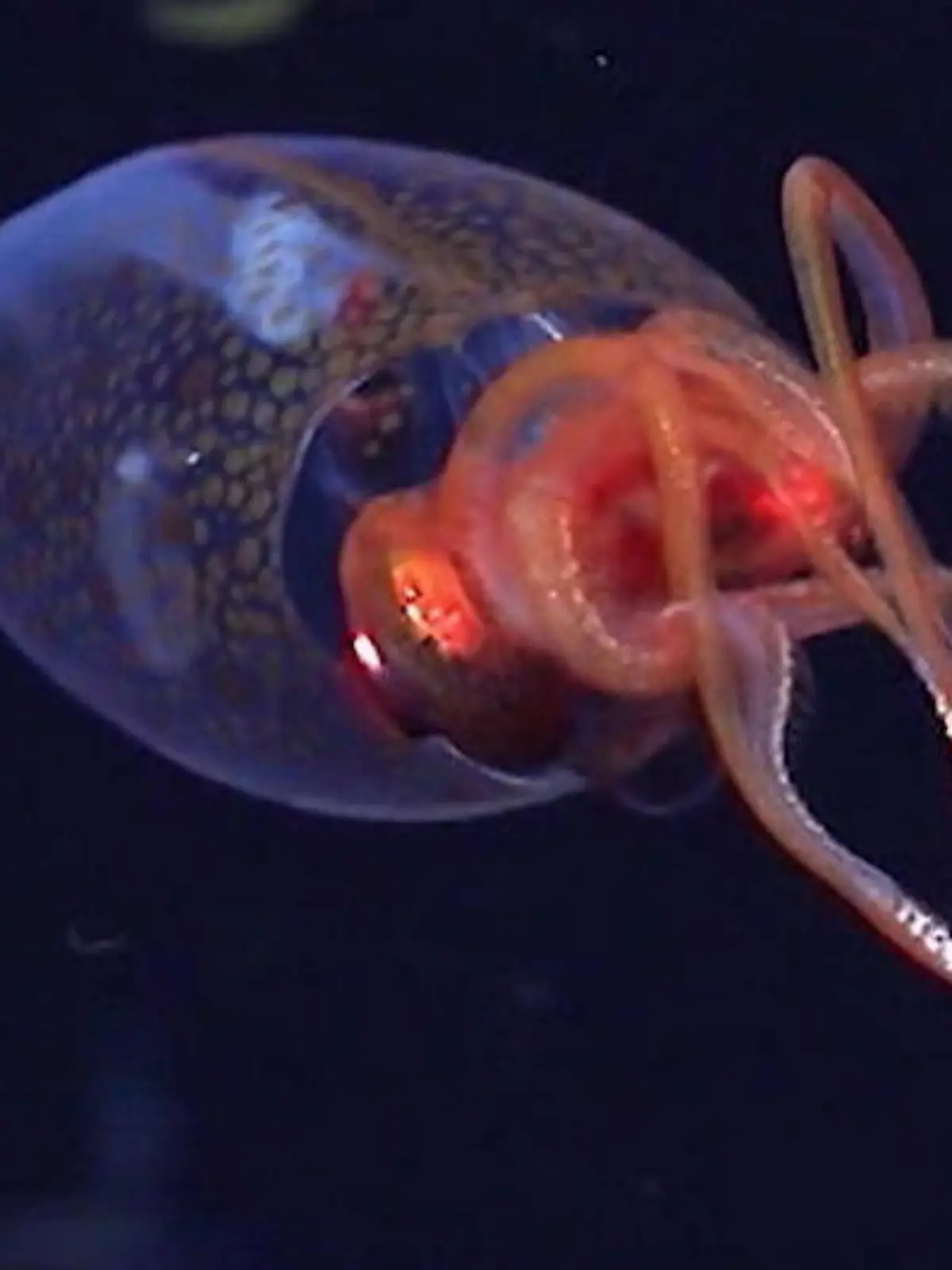 Weil er keinen Mittagsschlaf machen wollte: Entsorgt wie Abfall! Erzieherin stopft Jungen (4) in ...