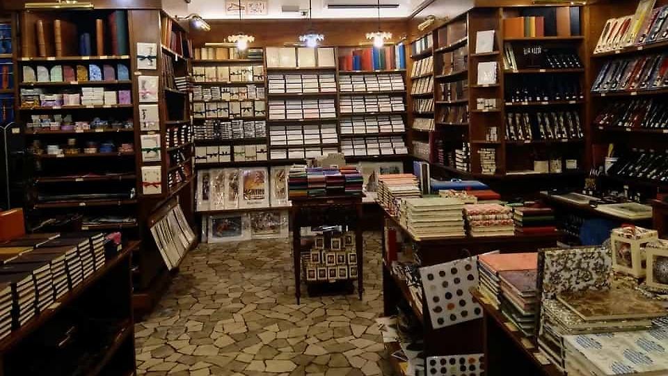 Genau hinschauen! In diesem Suchbild versteckt sich eine Katze - doch ...