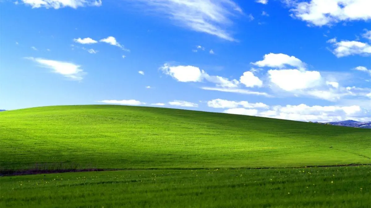 Das bekannteste Hintergrundbild der Welt: So entstand die "Windows-Wiese"