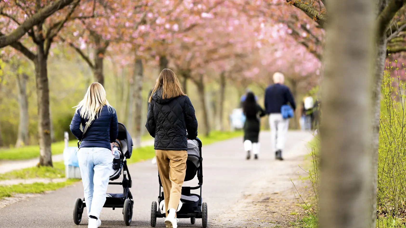 Suchbild zu Ostern: Hier haben sich zehn bemalte Ostereier versteckt ...
