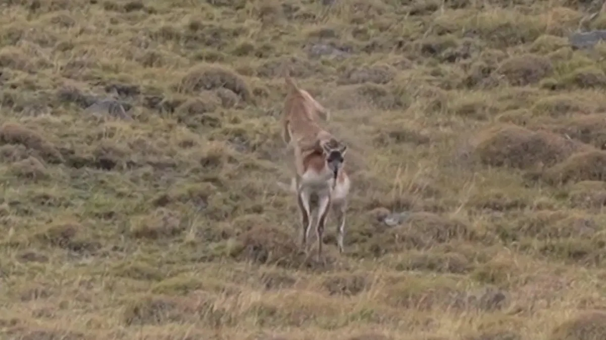 GNTM, Folge 15: Heidi Klum jagt ihre Models beim Nackt-Shooting durch den Monsun