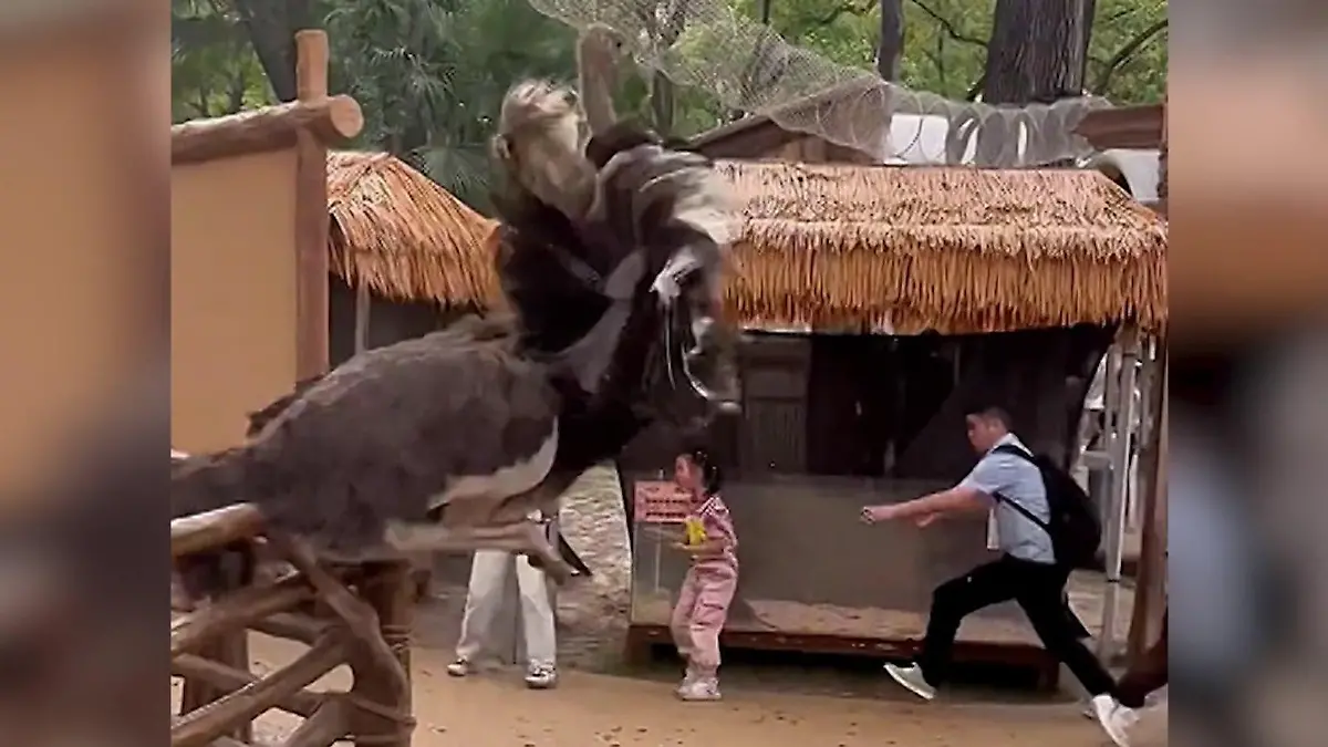 Neue Kebab-Kreation: In Hamburg gibt’s jetzt Ufo-Döner