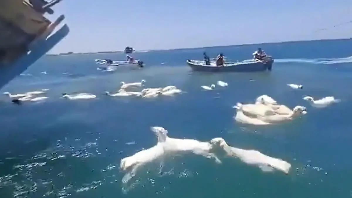 „LOL”: Neue Staffel mit Florian David Fitz & Co. - DAS sind alle Teilnehmer