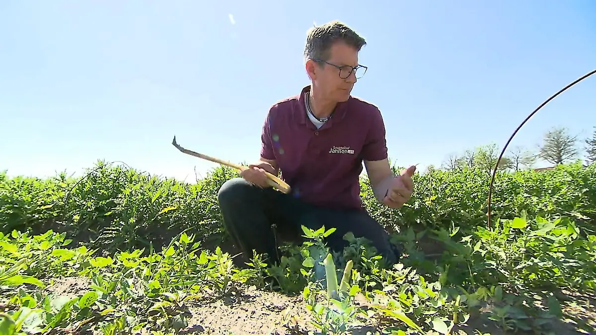 Neue Kebab-Kreation: In Hamburg gibt’s jetzt Ufo-Döner