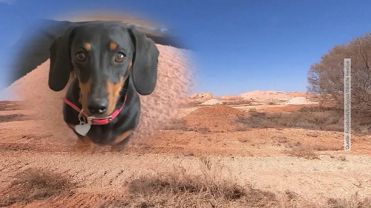 Getöteter Polizist Rouven Laur: Der Trauerbrief seiner Familie im Wortlaut