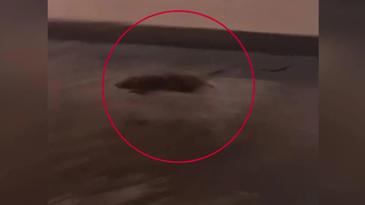 GNTM, Folge 15: Heidi Klum jagt ihre Models beim Nackt-Shooting durch den Monsun