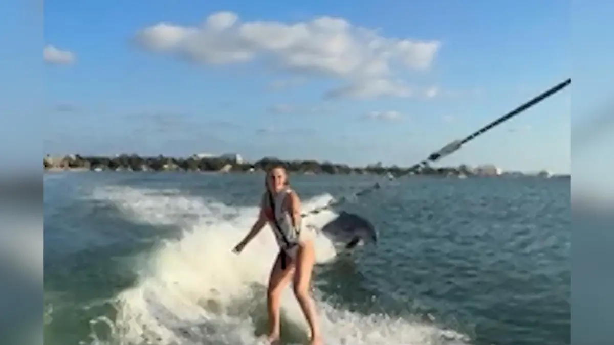 Annika Raßbach ist neu bei „Bares für Rares”: Das müsst ihr über die Expertin wissen!