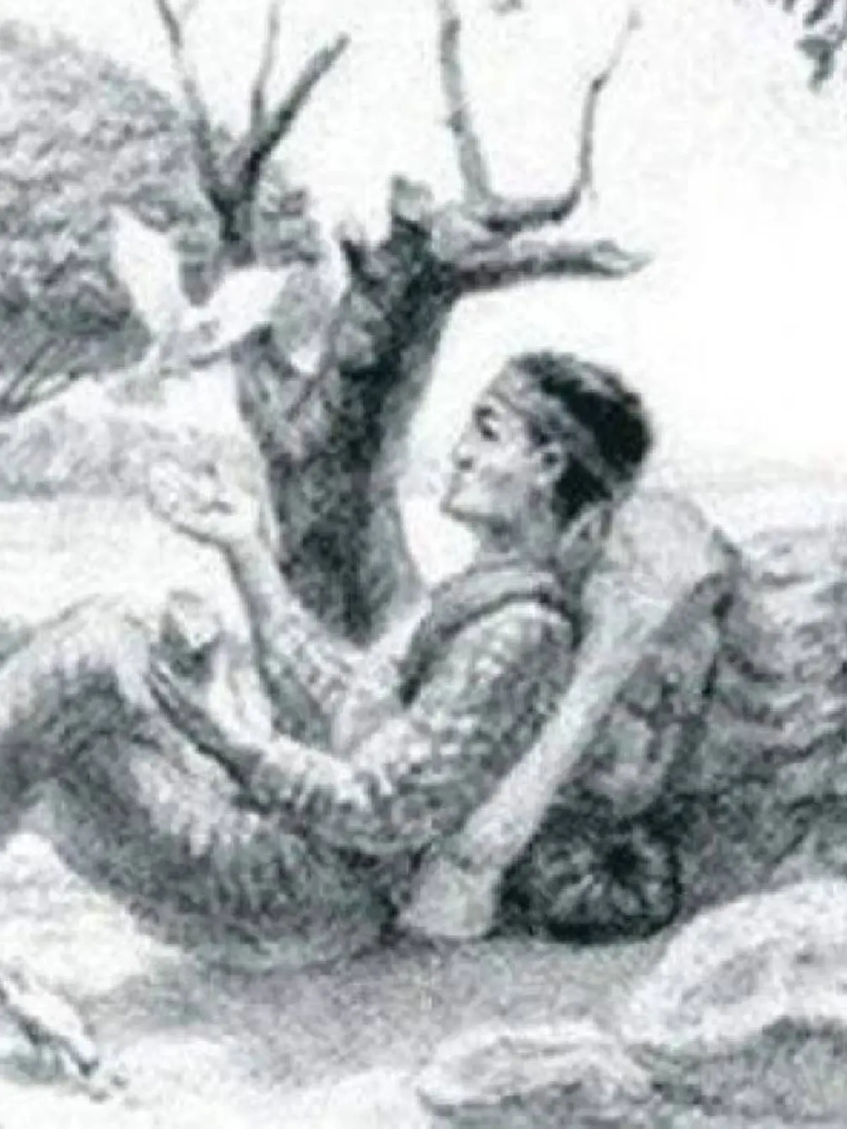 Suchbild zu Ostern: Hier haben sich zehn bemalte Ostereier versteckt ...