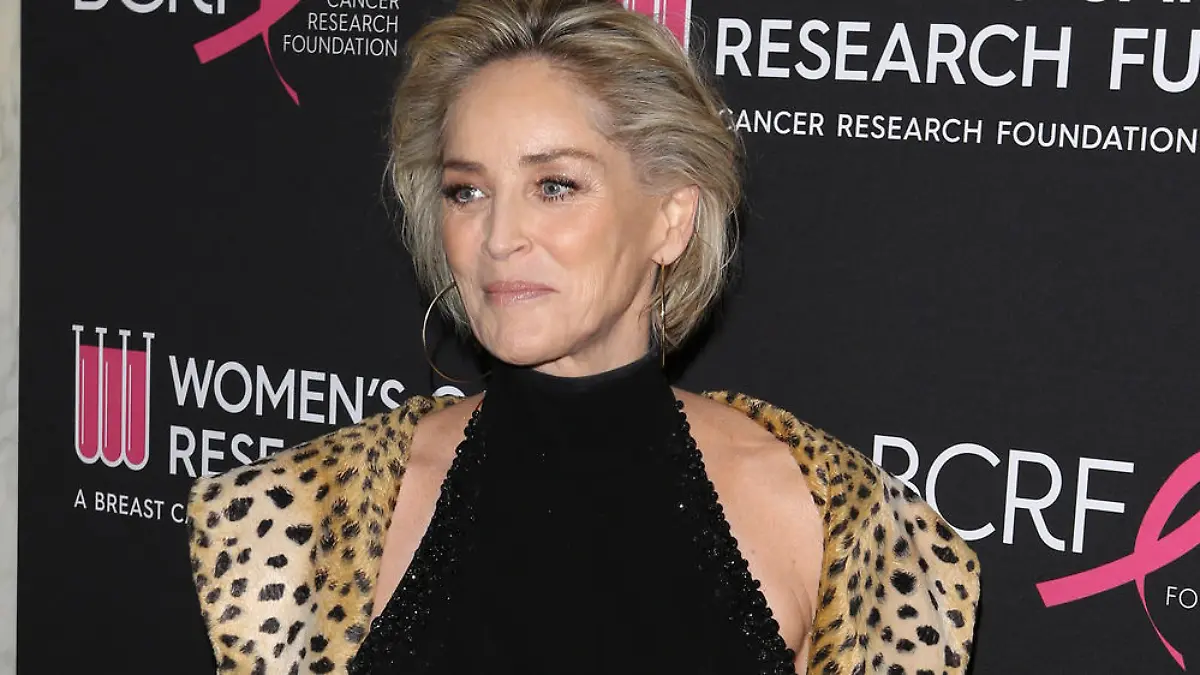 Sharon Stone: Mit Bügeleisen in der Hand vom Blitz getroffen