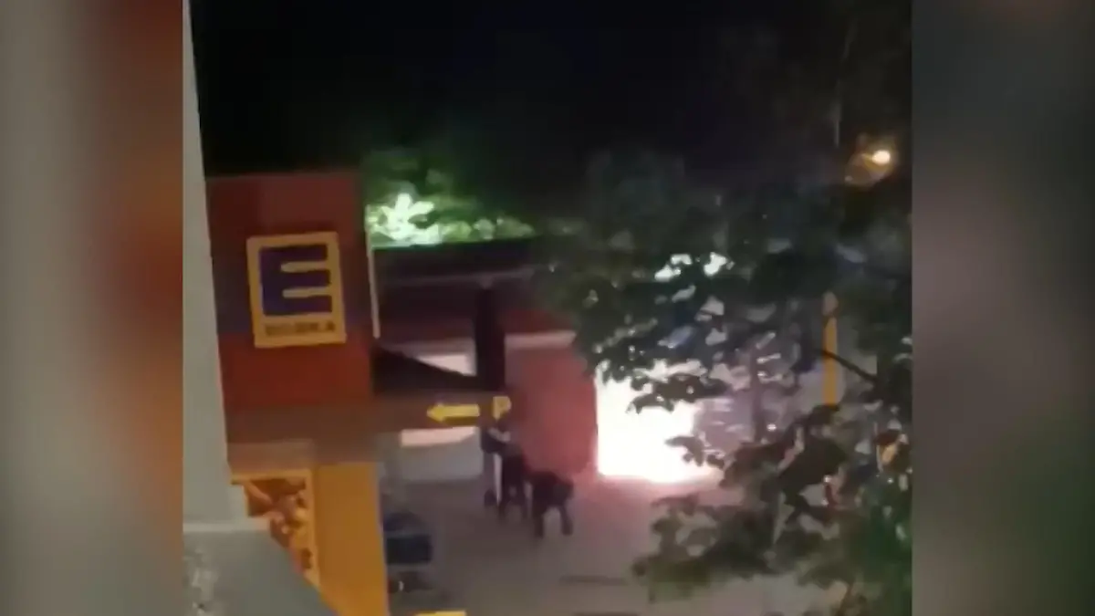 Alice Weidel im Faktencheck: War Adolf Hitler wirklich ein „Linker”?