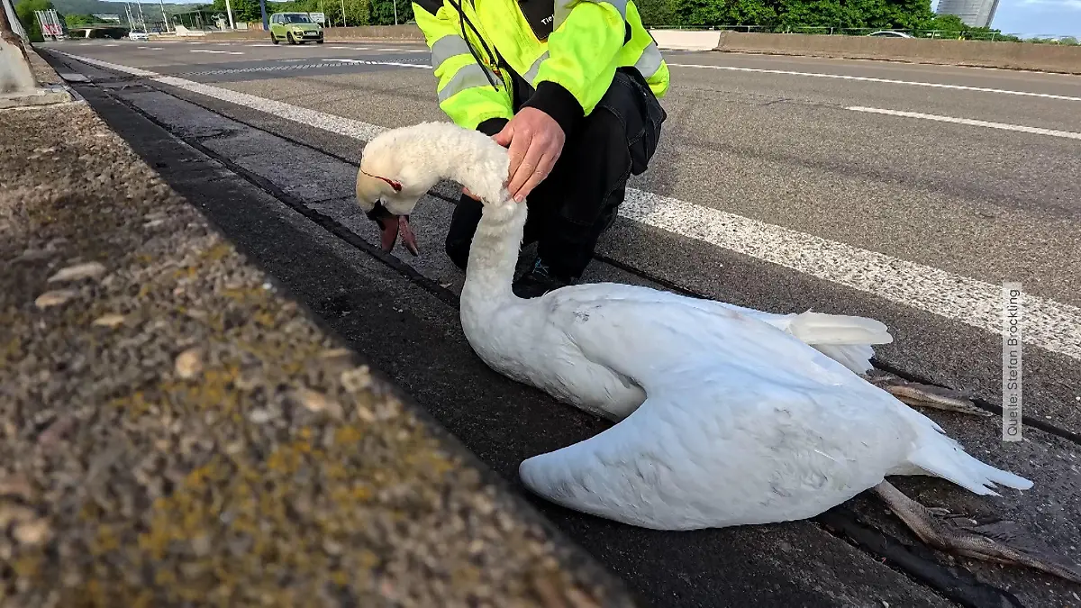 Strandbesuch in Dorum kostet Familien bald 27,50 Euro