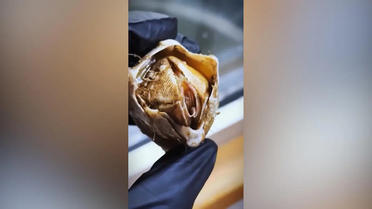 Perfektes Porridge: Sebastian Lege verrät seine Geheimtipps fürs Frühstück