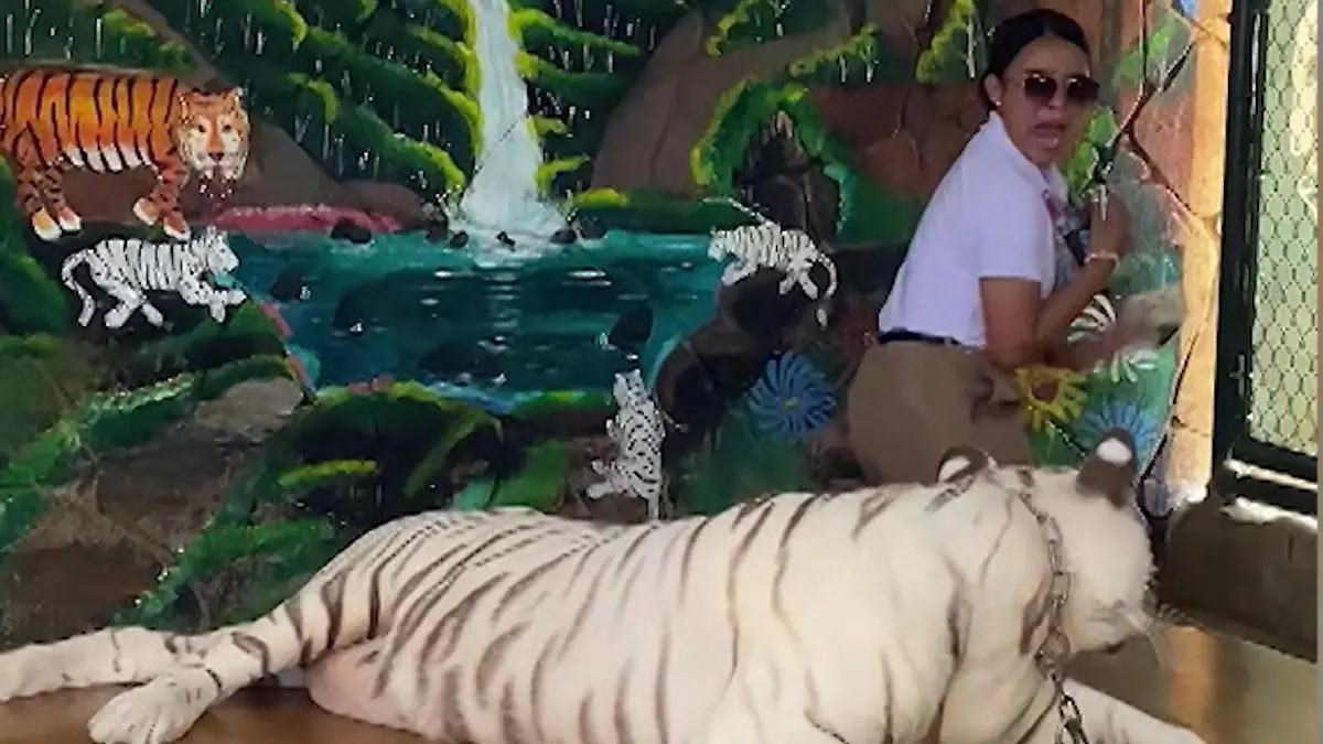 Sarah Bossard privat: DAS ist über die Partnerin von Alice Weidel (AfD ...