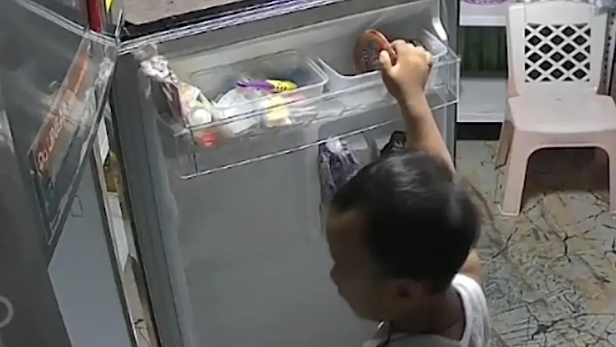 Sarah Bossard privat: DAS ist über die Partnerin von Alice Weidel (AfD ...