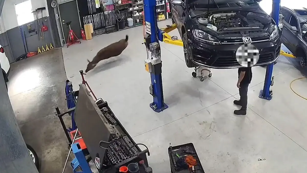 Held von Aschaffenburg rief noch Tochter an: Giulia (22) bangte um ...