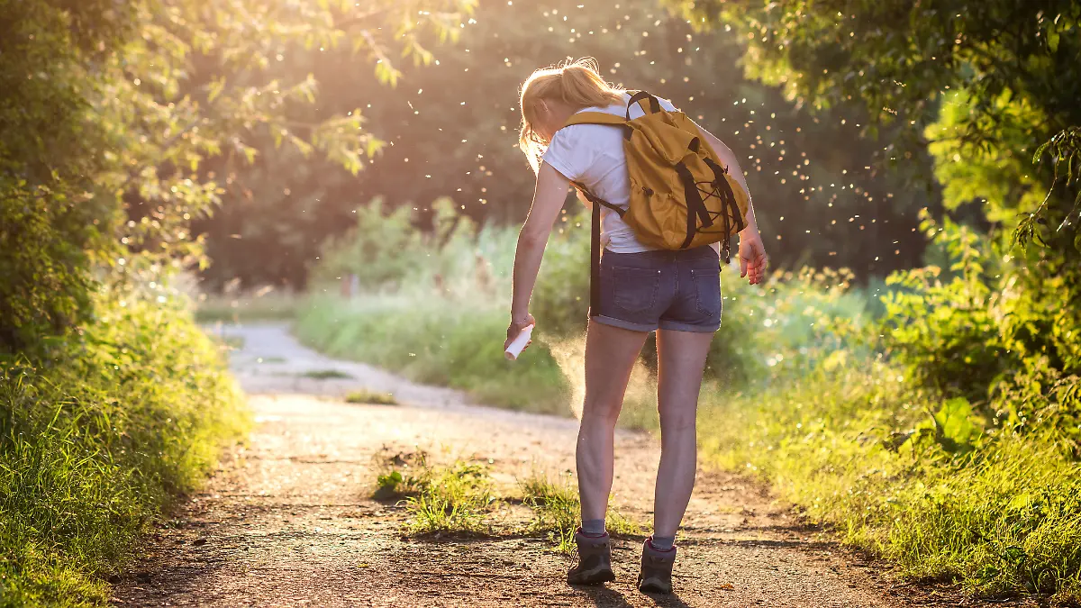Sommer 2025: Wenig Mücken im Frühjahr – aber bleibt das auch so ...