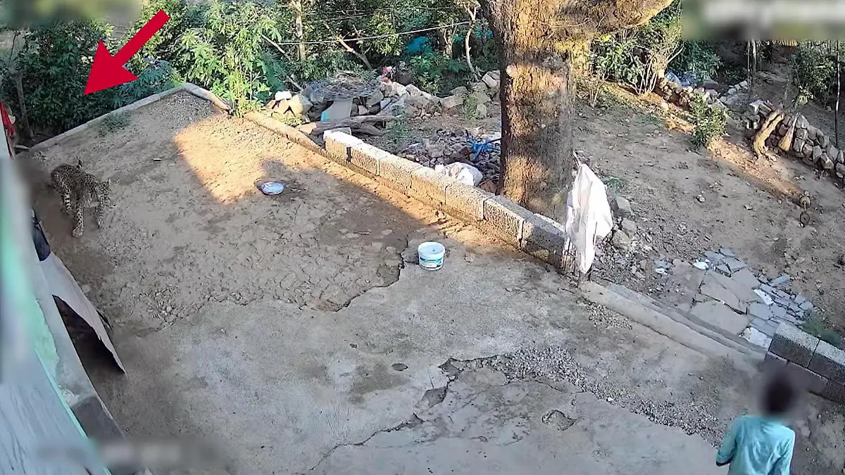 Fratzen-Killer Wade Wilson (30) zum Tode verurteilt: Verliebte Fans ...