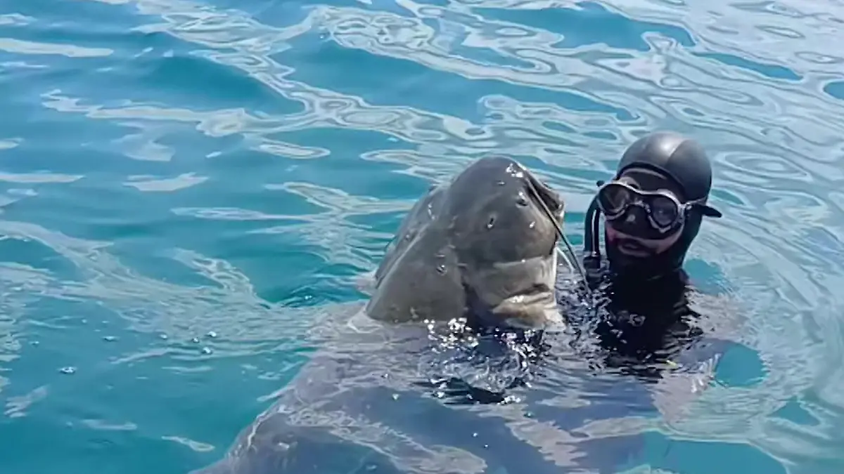 Familie Ritter aus Köthen: ER war Karin Ritters Lieblings-Enkel – und packt jetzt aus