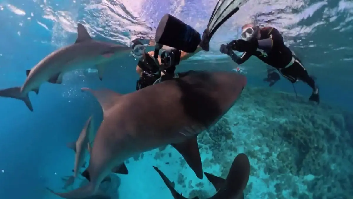 Vermisster Junge aus Weilburg: Jetzt hilft sogar Eurofighter bei der Suche nach Pawlos (6)