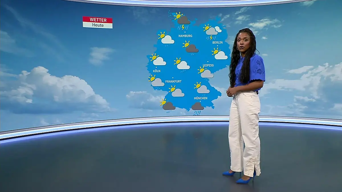 Türkei will Straßenhunde loswerden – mithilfe eines drastischen Plans