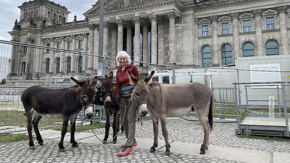 Unfall in Wedel! Zwei Frauen sterben bei Frontal-Crash