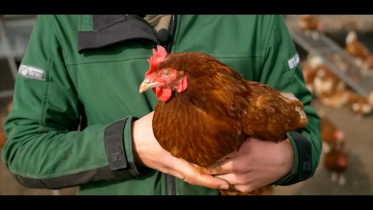 Model Phia Quantius: Wegen Migräne bin ich nur maximal vier Tage im ...