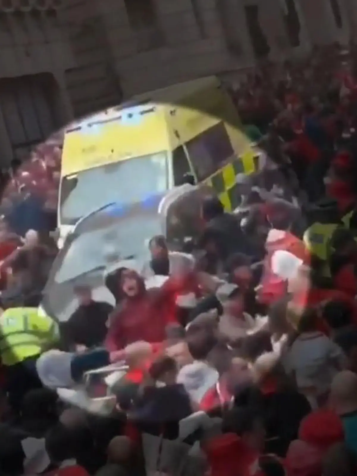 Survival-Experte klärt auf: Wie der Westerwald-Killer alleine im Wald überleben kann