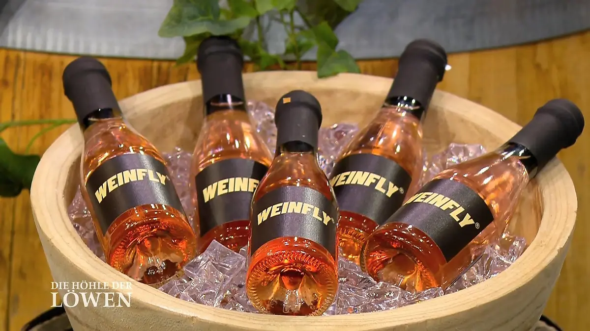 Höhle der Löwen: Faszienrolle von Max Fitness richtig nutzen! Experten ...