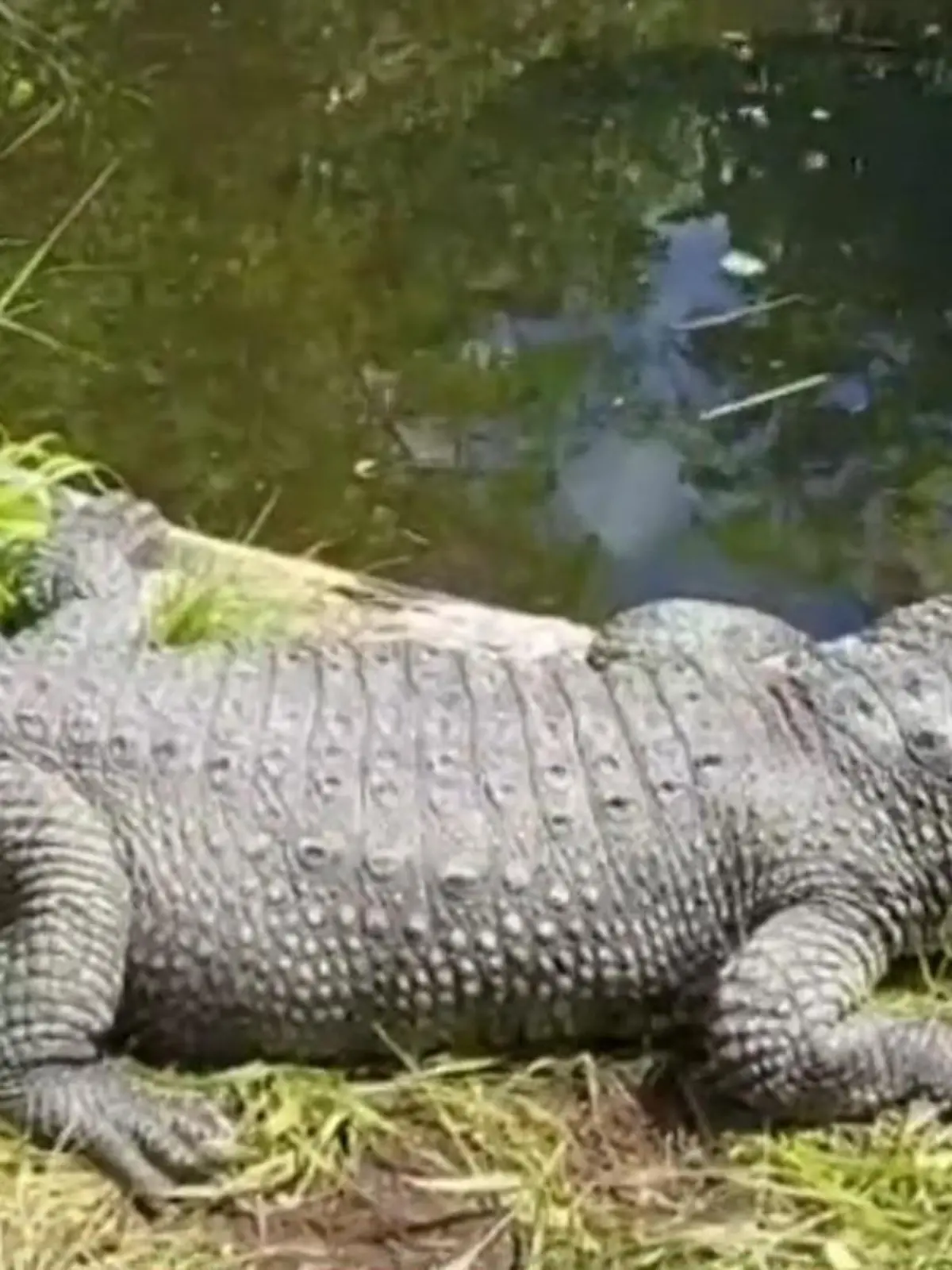 Dieser Ausblick ist speziell: Falsche Route! Container-Schiff kommt ...