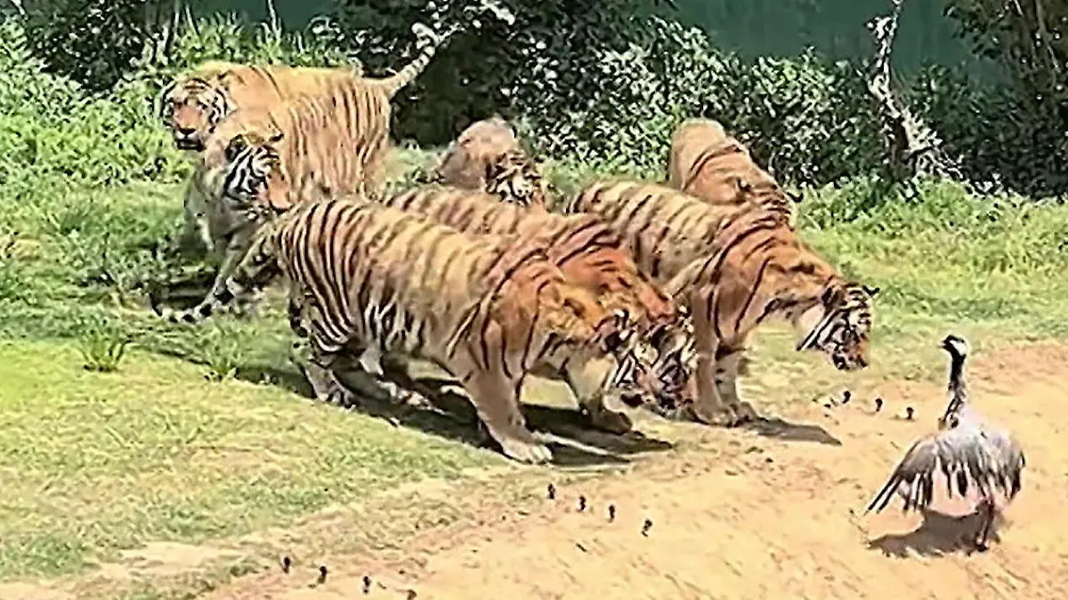 Familie Ritter in tiefer Trauer: Sohn Norman ist tot – Tochter ...