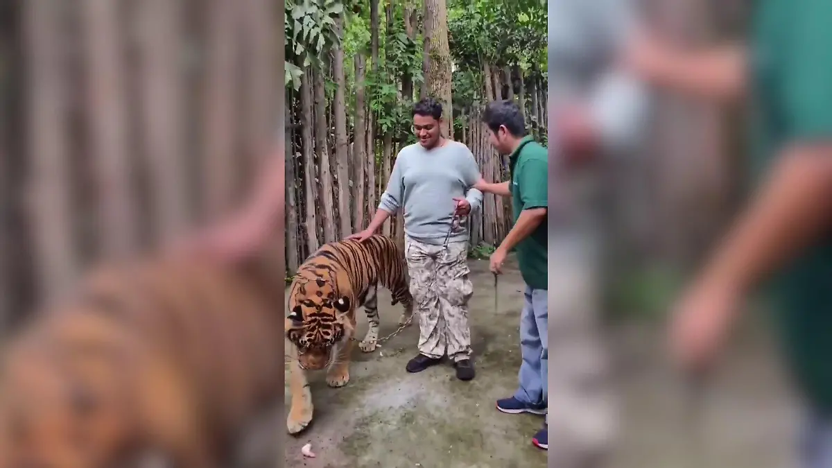 Familie Ritter in tiefer Trauer: Sohn Norman ist tot – Tochter ...