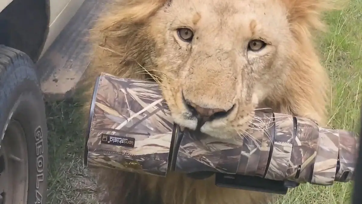 Neue Kebab-Kreation: In Hamburg gibt’s jetzt Ufo-Döner