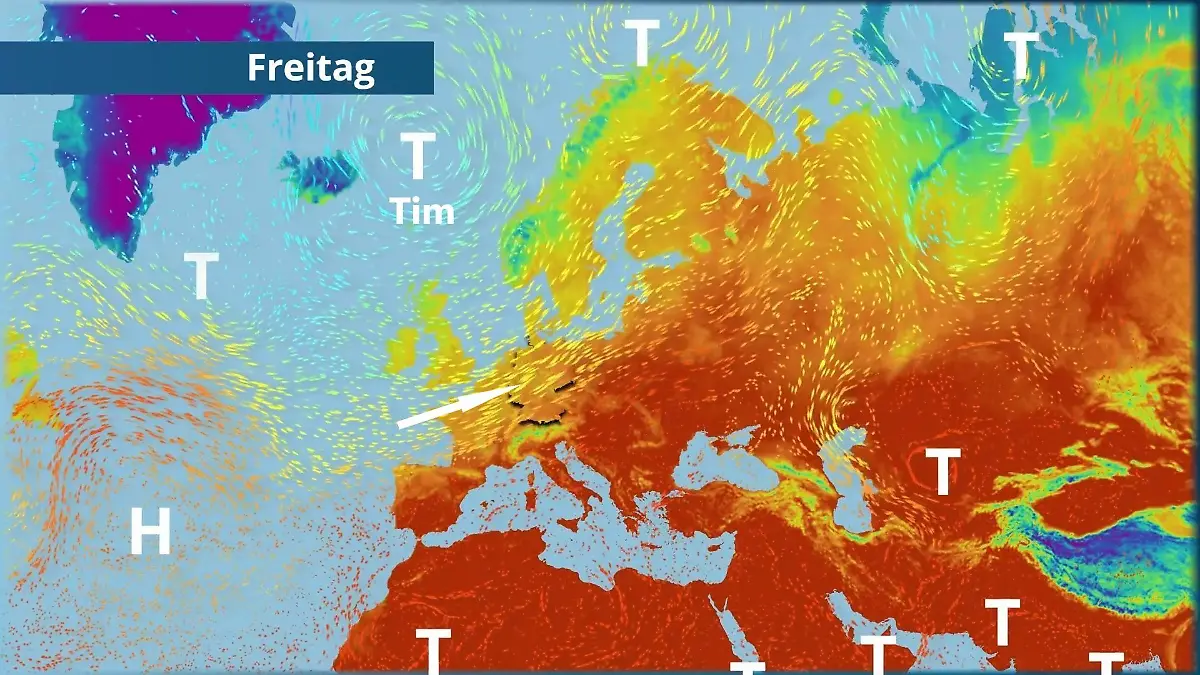 Wie gefährlich sind Ölkäfer, Super-Zecke und Tigermücke?