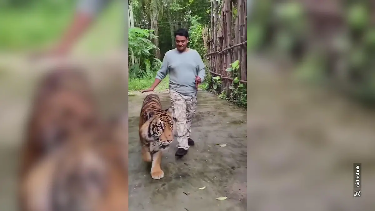 Familie Ritter in tiefer Trauer: Sohn Norman ist tot – Tochter ...