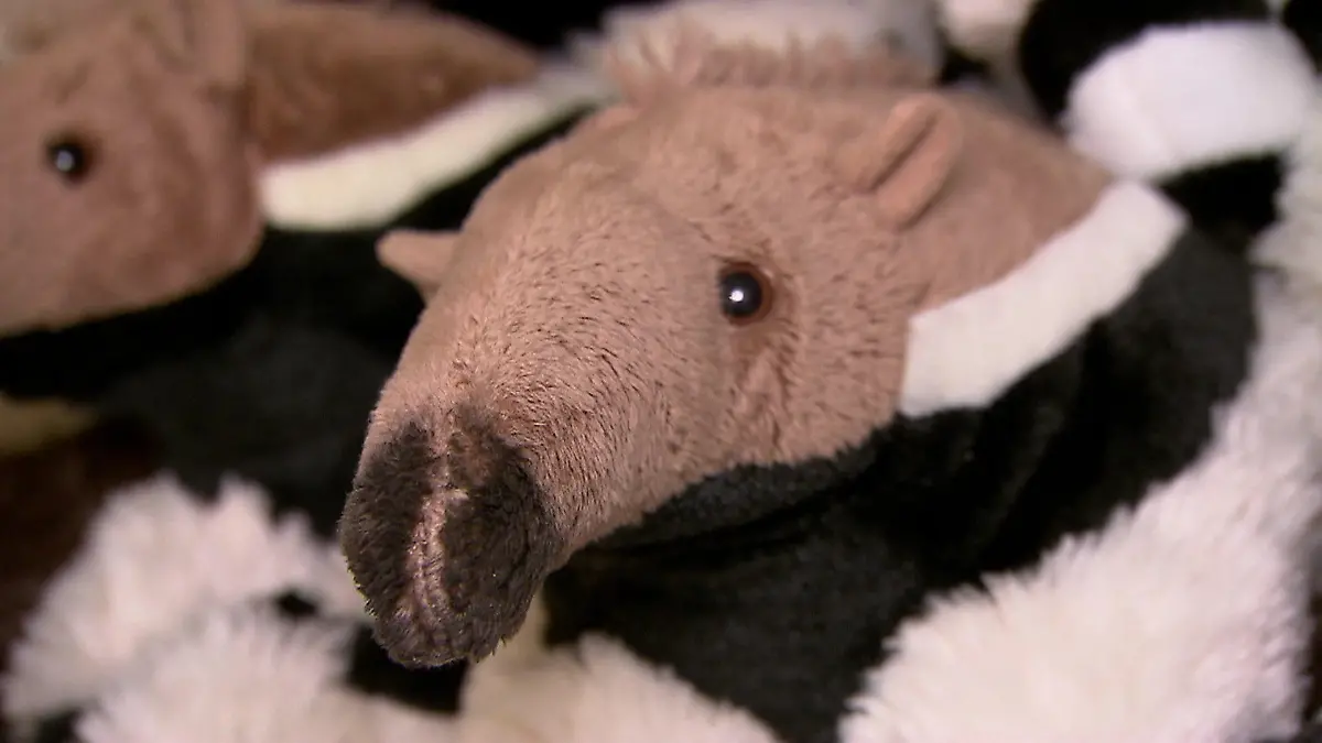 Ausstellung „Die letzten Tage von Pompeji“ in Oberhausen eröffnet