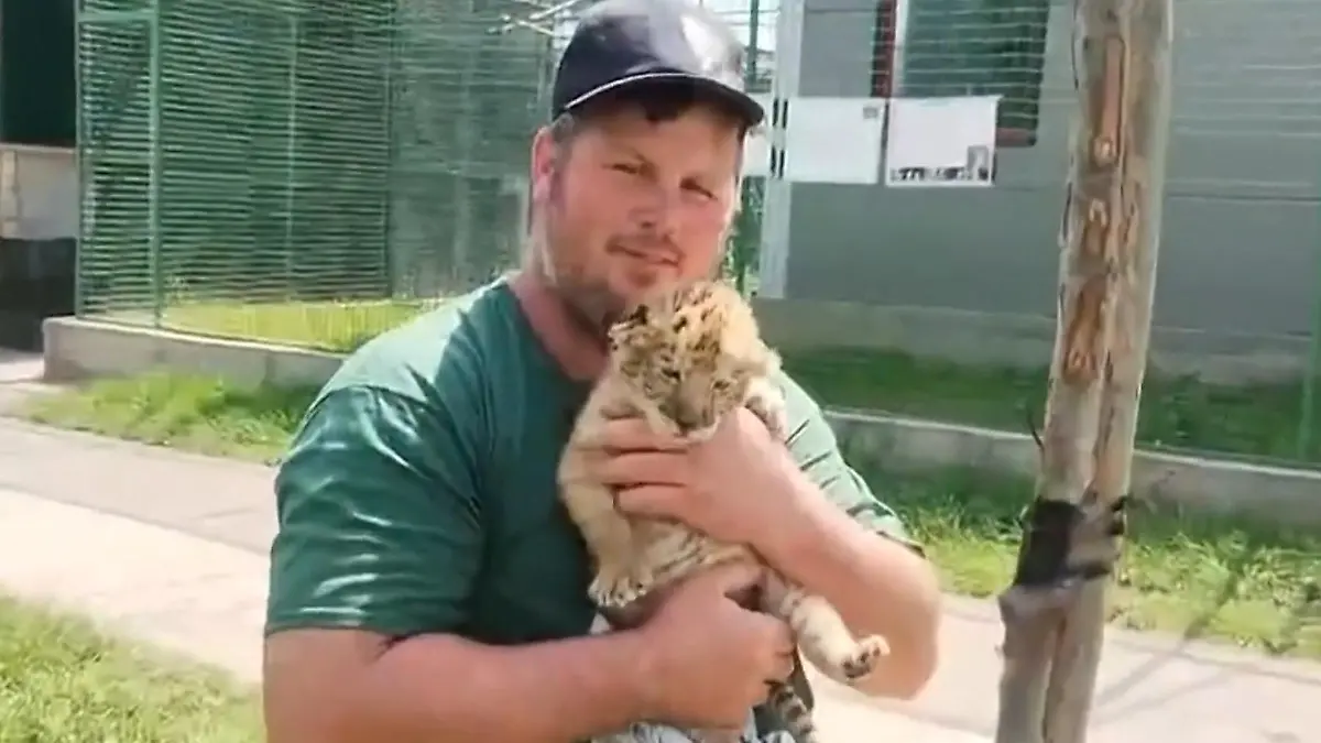 Tamm bei Ludwigsburg: Schüsse in Wohngebiet, 23-Jähriger schwer ...