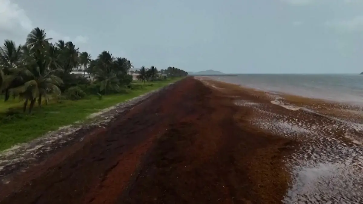 Familie Ritter in tiefer Trauer: Sohn Norman ist tot – Tochter ...